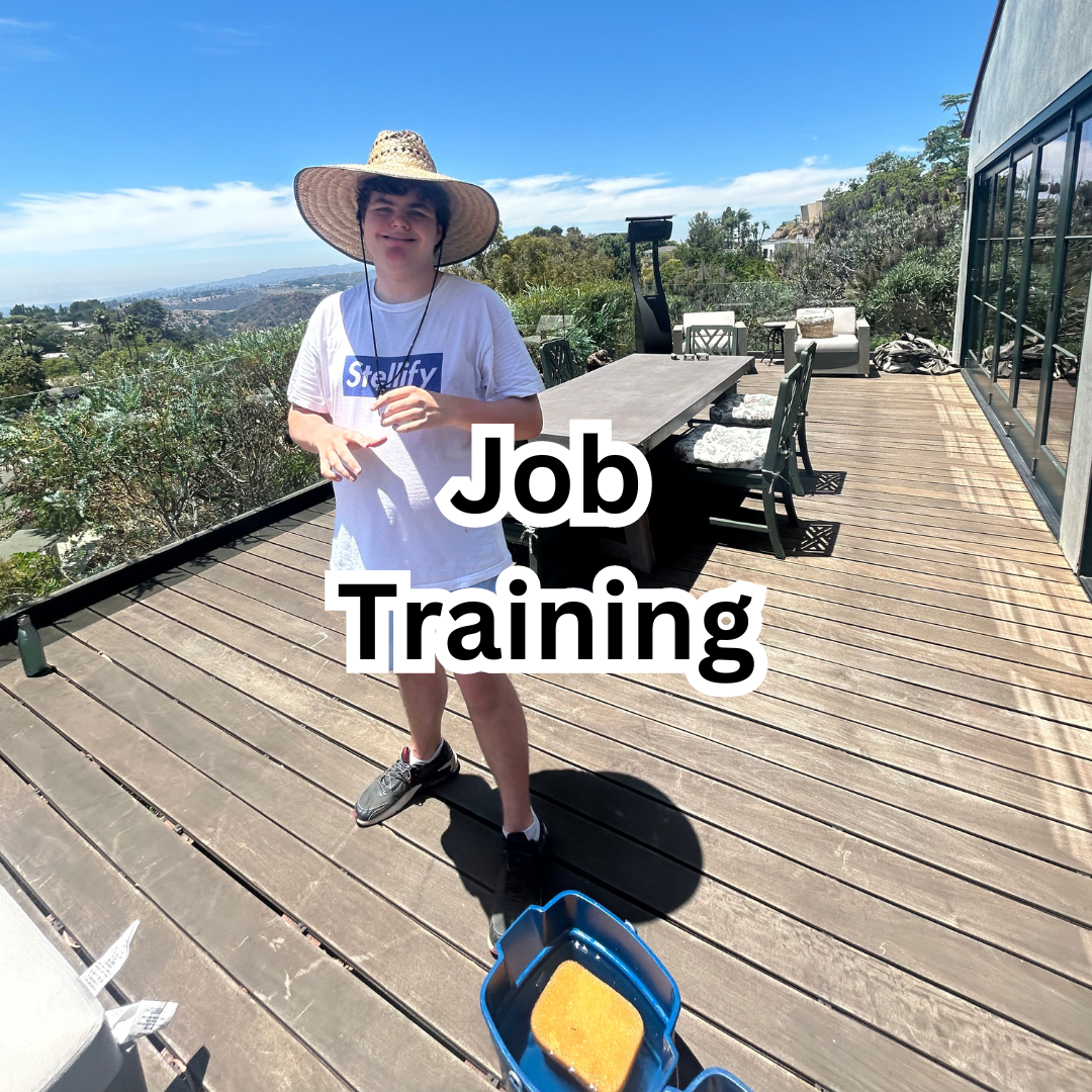 Stellify - Transitional Autism Program