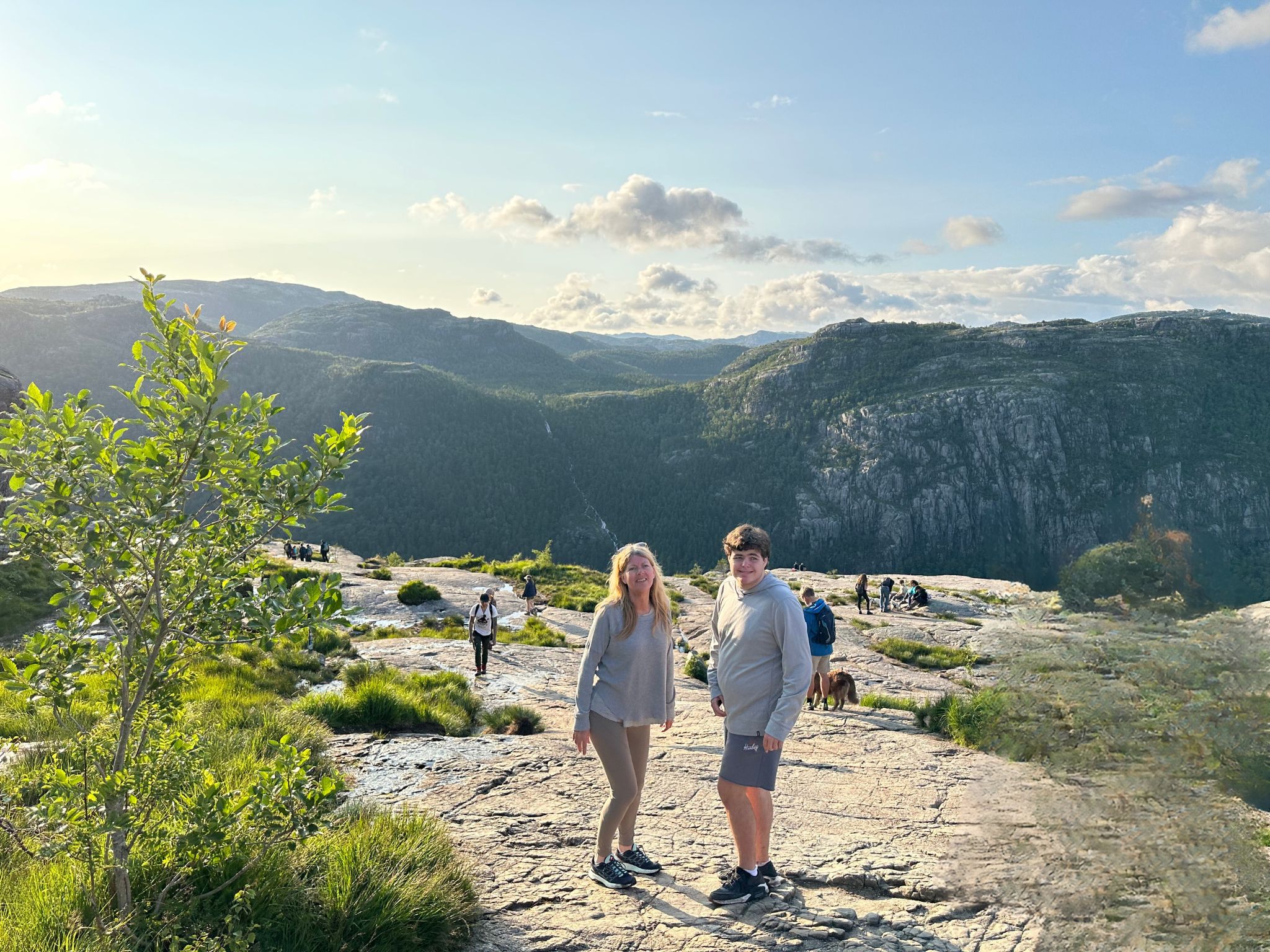 The Stellify Journey: From Words to Action, 19 Years in the Making